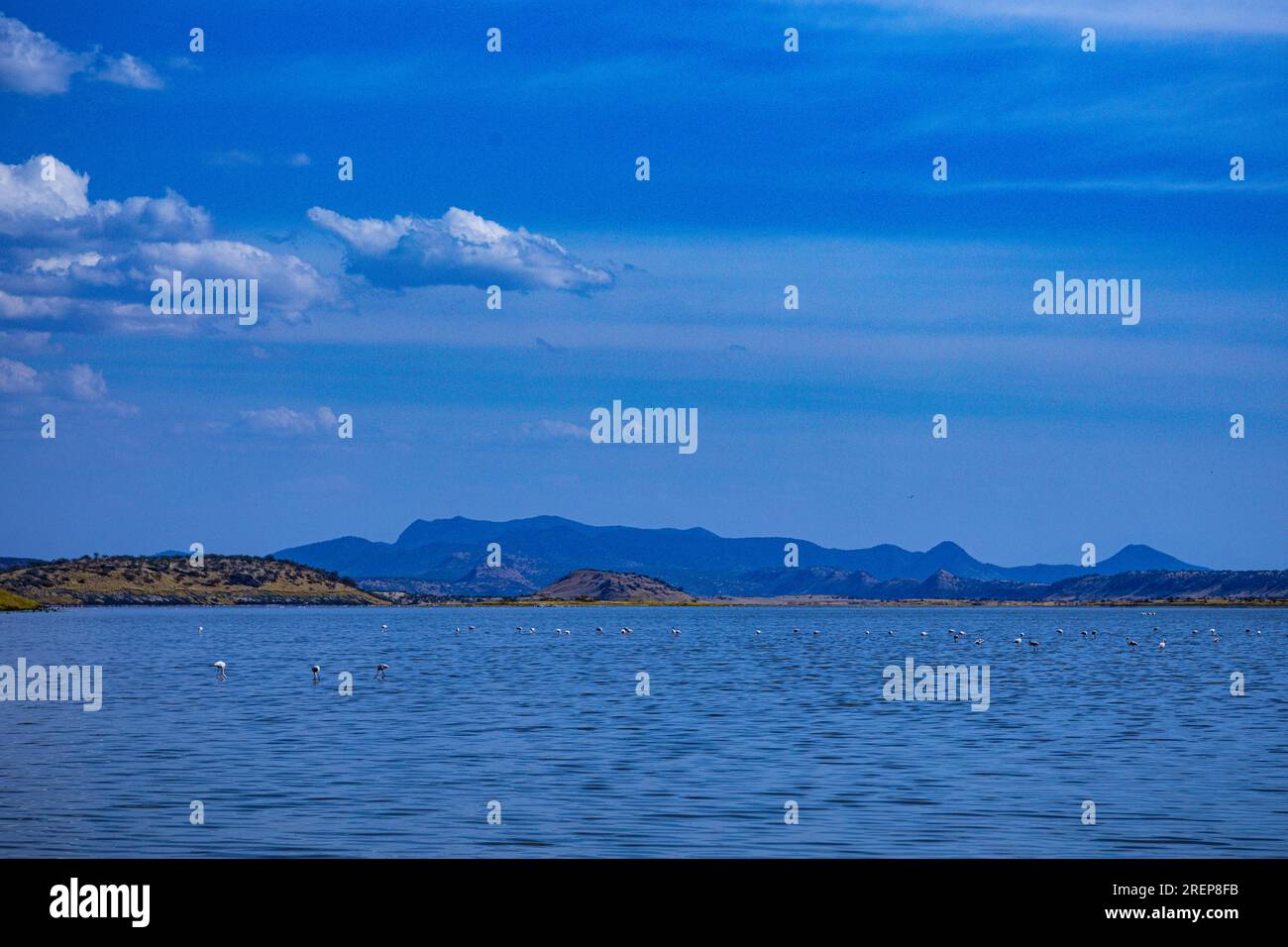 Lake Magadi Lake in Kenya Lake Magadi is the southernmost lake in the ...