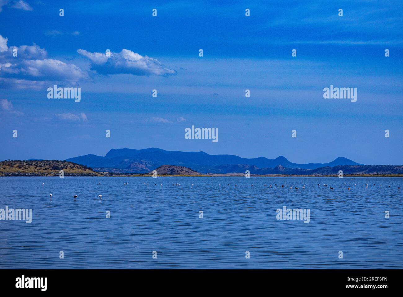 Lake Magadi Lake in Kenya Lake Magadi is the southernmost lake in the ...