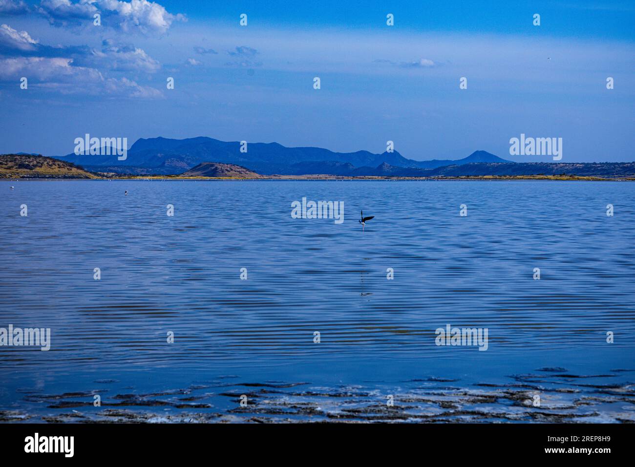 Lake Magadi Lake in Kenya Lake Magadi is the southernmost lake in the ...