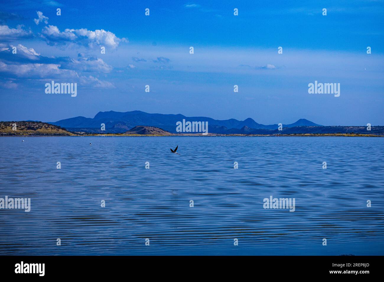 Lake Magadi Lake in Kenya Lake Magadi is the southernmost lake in the ...