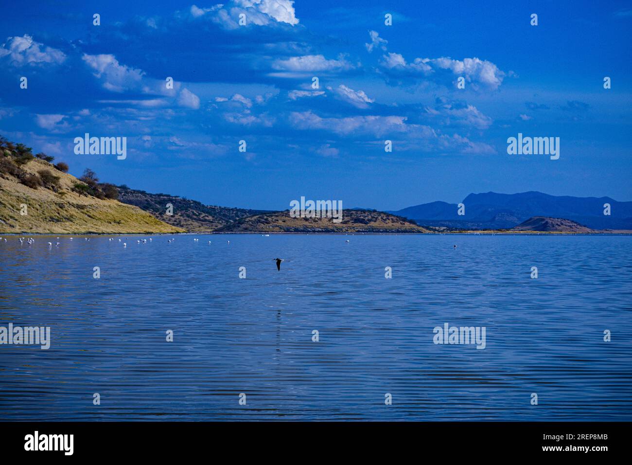 Lake Magadi Lake in Kenya Lake Magadi is the southernmost lake in the ...
