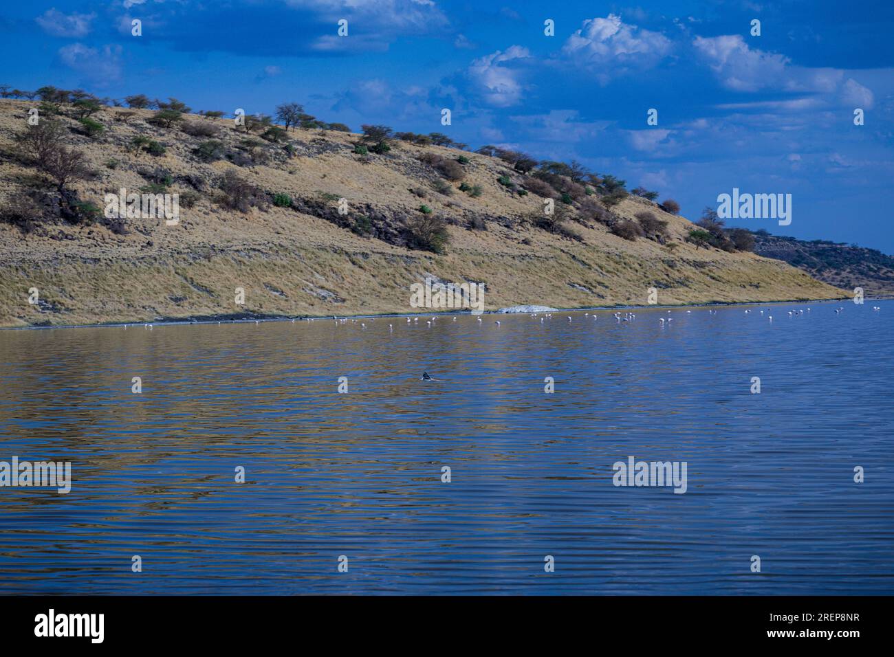 Lake Magadi Lake in Kenya Lake Magadi is the southernmost lake in the ...