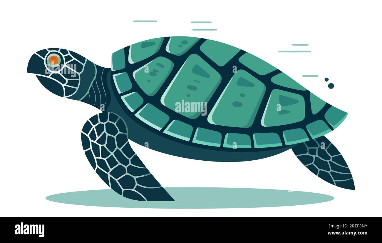 Turtle image. Abstract drawing turtle. Cute turtle isolated. Vector ...