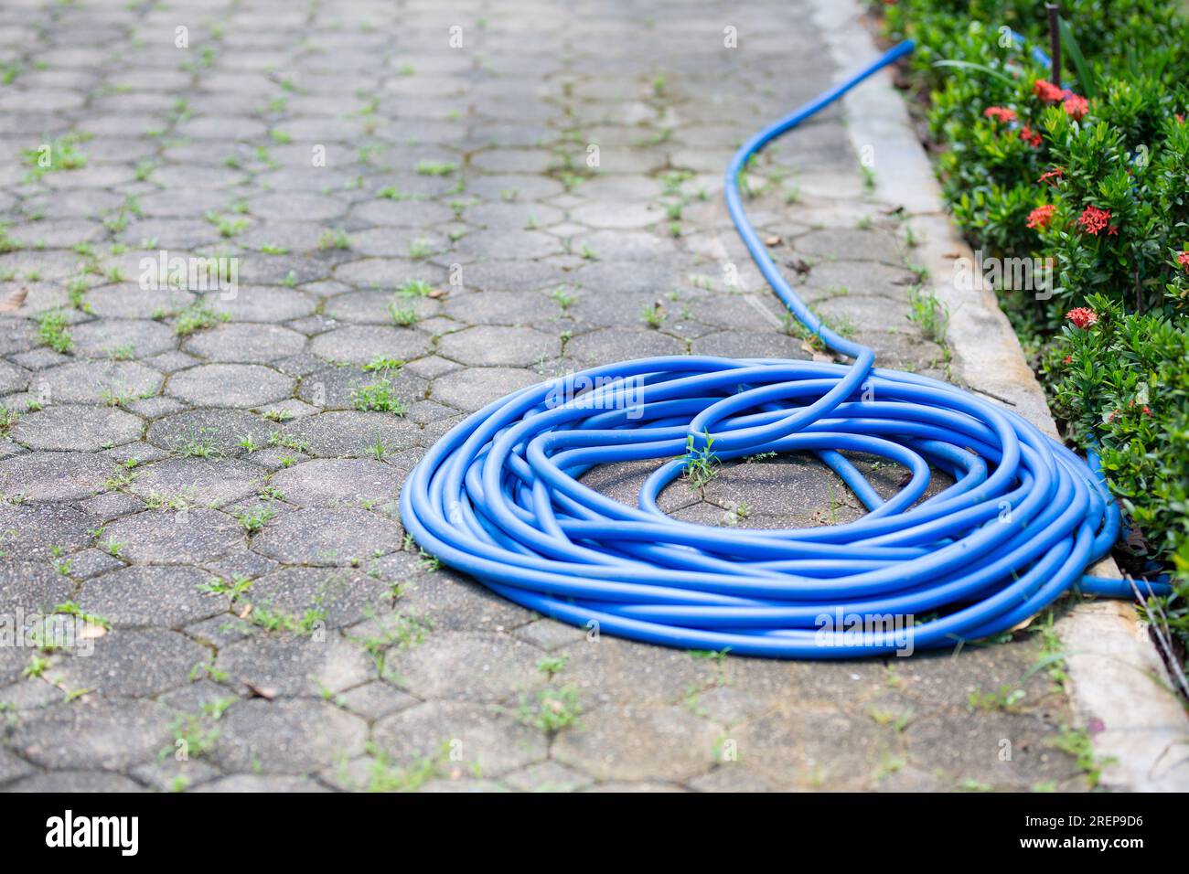 Long hose pipe hi-res stock photography and images - Alamy