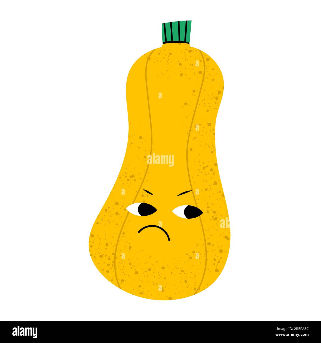 Orange butternut squash illustration Stock Vector Images - Alamy