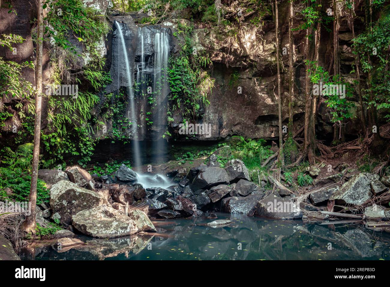 Curtis Falls in Tamborine National Park in Queensland, Australia Stock Photo - Alamy