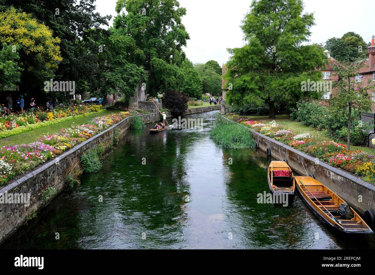 punting on the river stour,city of canterbury,kent,uk july 29 2023 ...