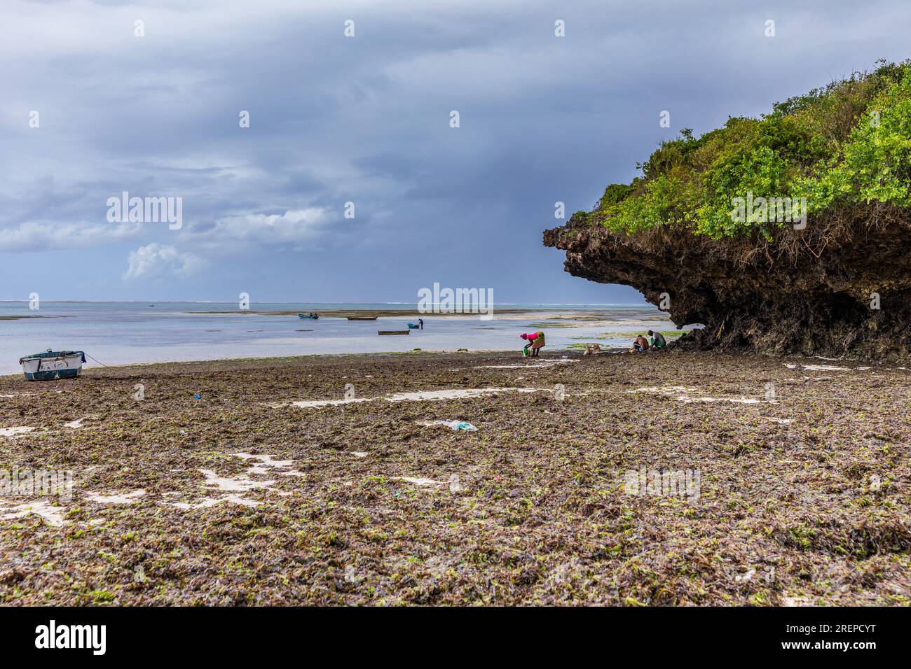 Malindi-Watamu Kenya-Kenyan Creative Documentary & Humanitarian ...