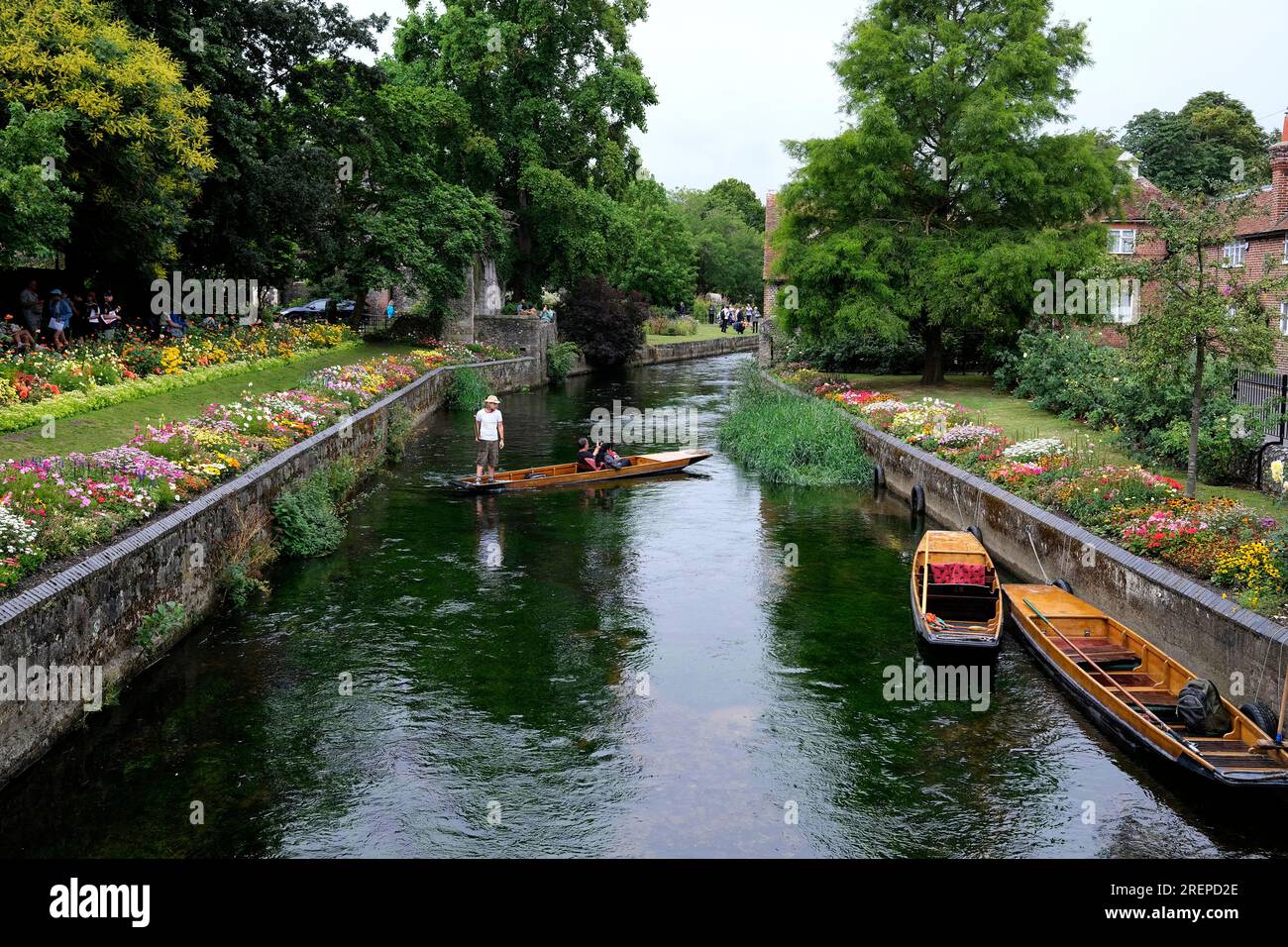 punting on the river stour,city of canterbury,kent,uk july 29 2023 ...