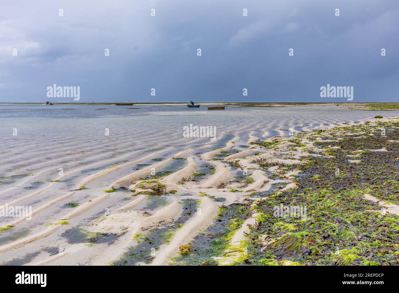 Malindi-Watamu Kenya-Kenyan Creative Documentary & Humanitarian ...