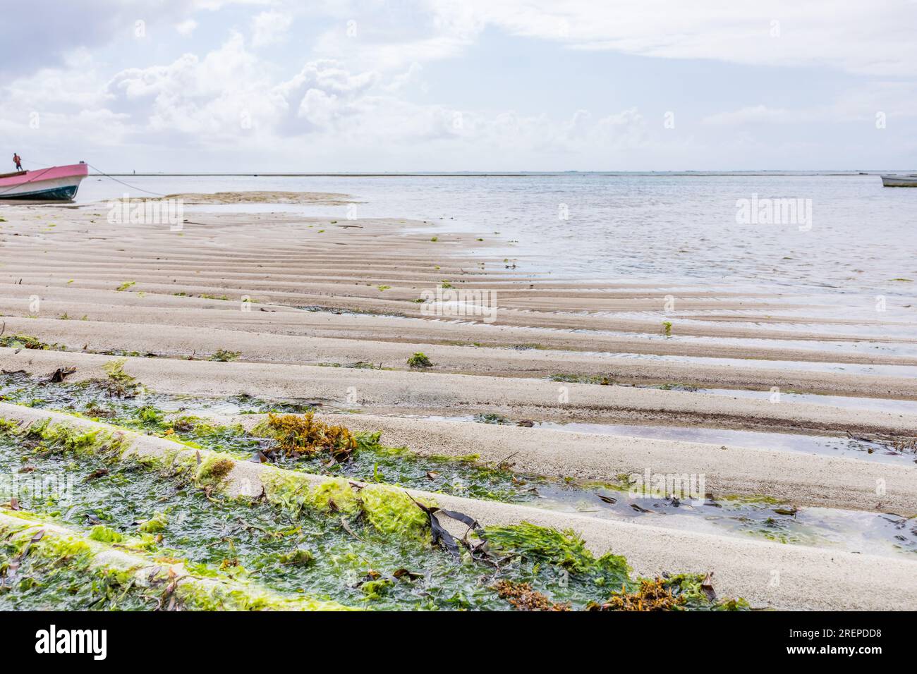 Malindi-Watamu Kenya-Kenyan Creative Documentary & Humanitarian ...