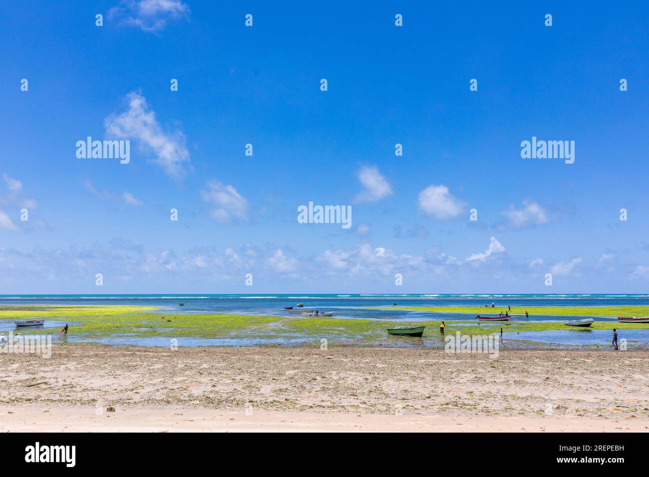 Malindi-Watamu Kenya-Kenyan Creative Documentary & Humanitarian ...