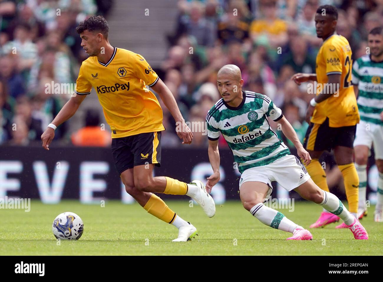 Nunes wolves hi-res stock photography and images - Alamy