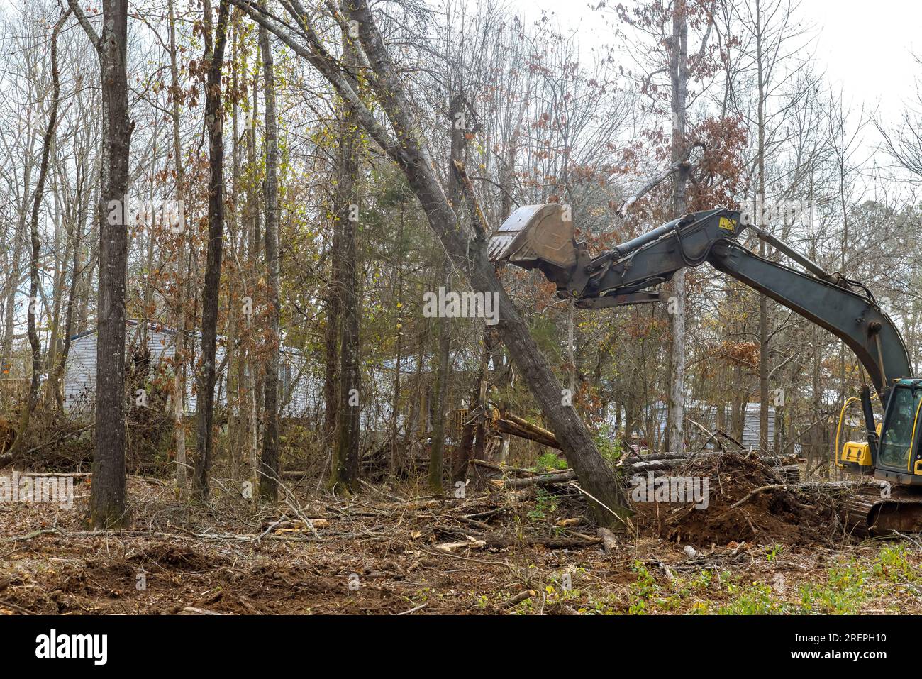 Worker clear uprooted tree hi-res stock photography and images - Alamy