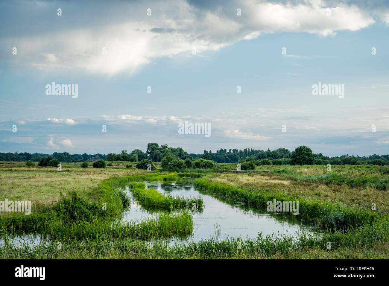 A typical Norfolk Broads scene near the River Bure on a summers evening ...
