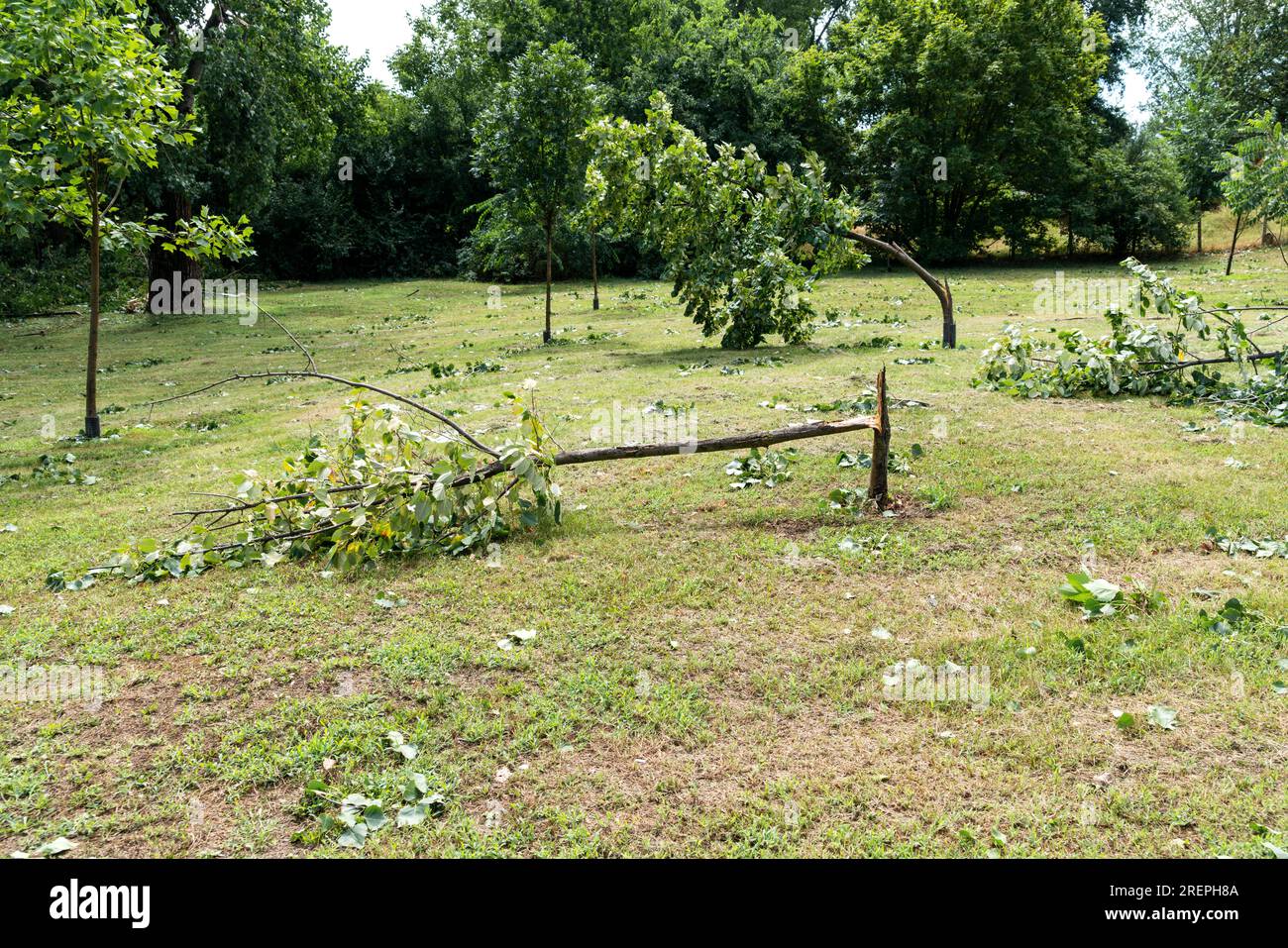 Park vandalism hi-res stock photography and images - Alamy