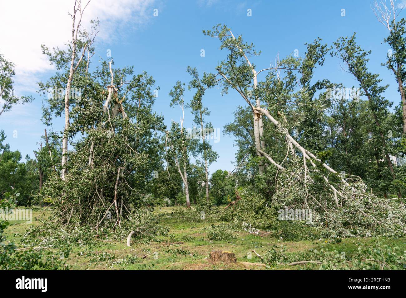 City of strong hi-res stock photography and images - Alamy