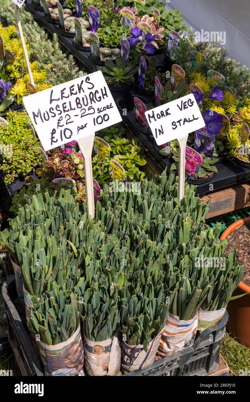 Show leeks hi-res stock photography and images - Alamy