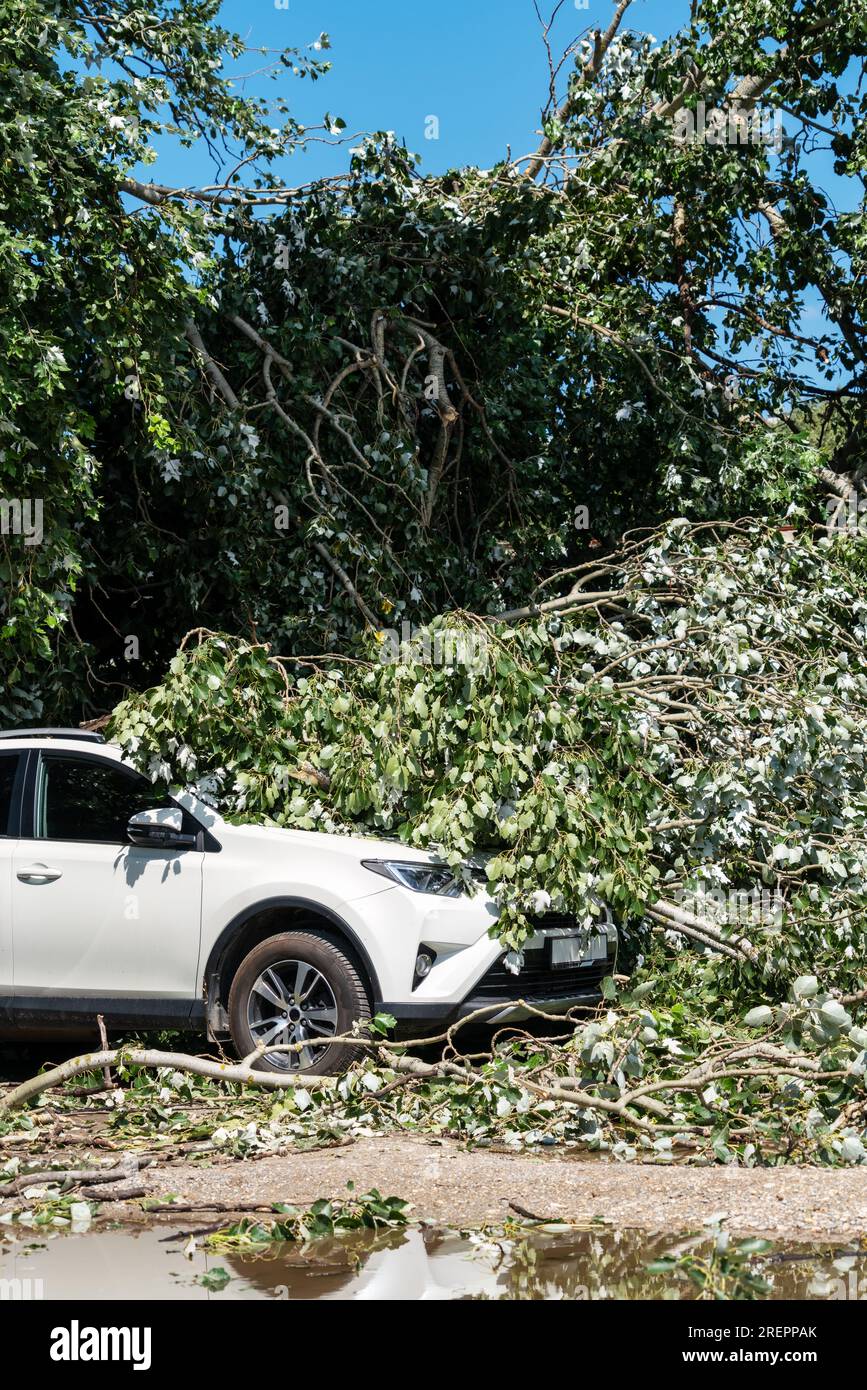 Accident car crashed tree hi-res stock photography and images - Alamy