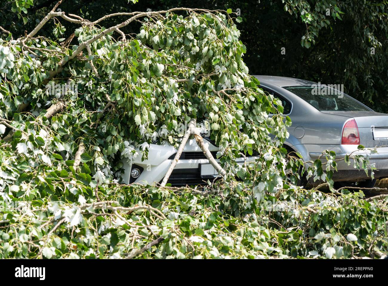 Accident car crashed tree hi-res stock photography and images - Alamy