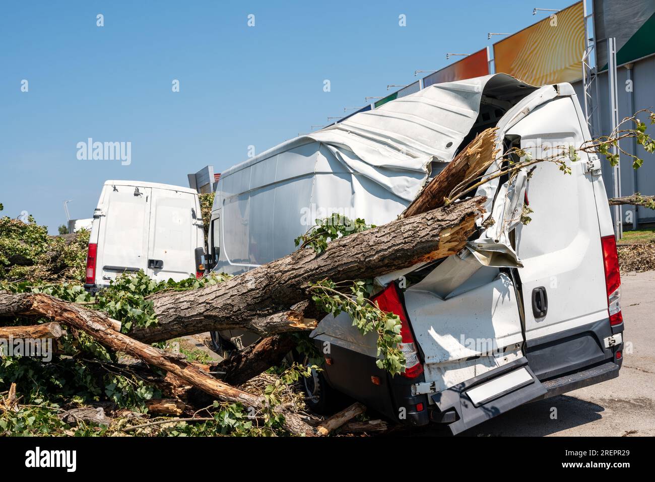 Destroyed parked van by a fallen tree after a heavy storm Stock Photo ...