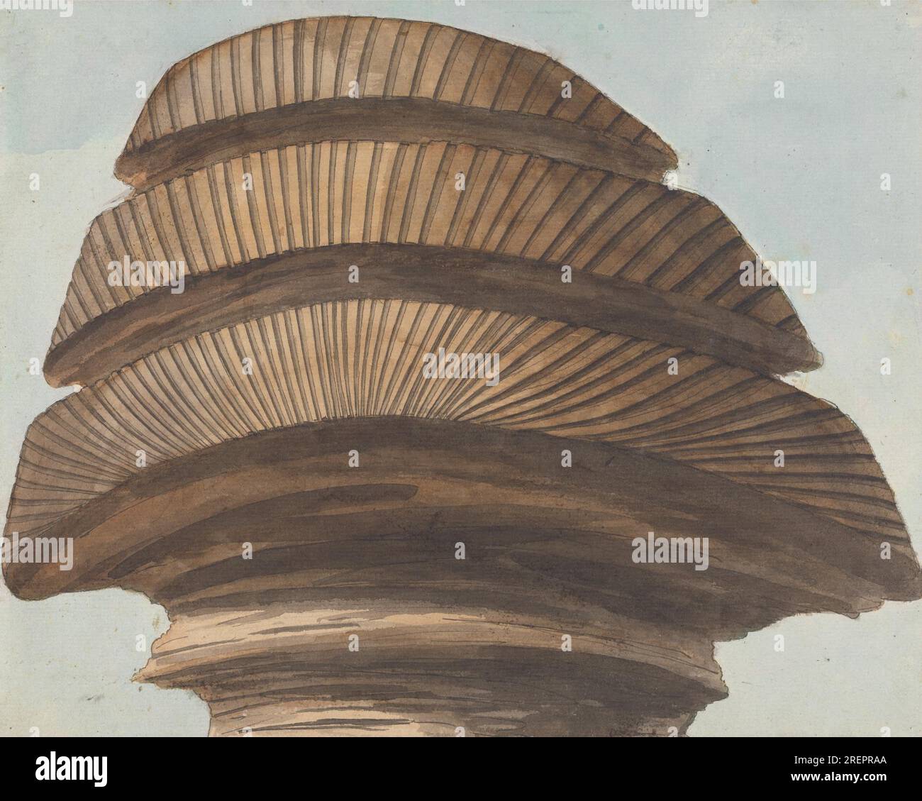Views in the Levant: Back View of the Head of the Sphinx circa 1785 by ...