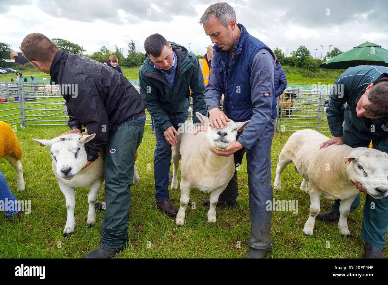 Findlay farm hi-res stock photography and images - Alamy