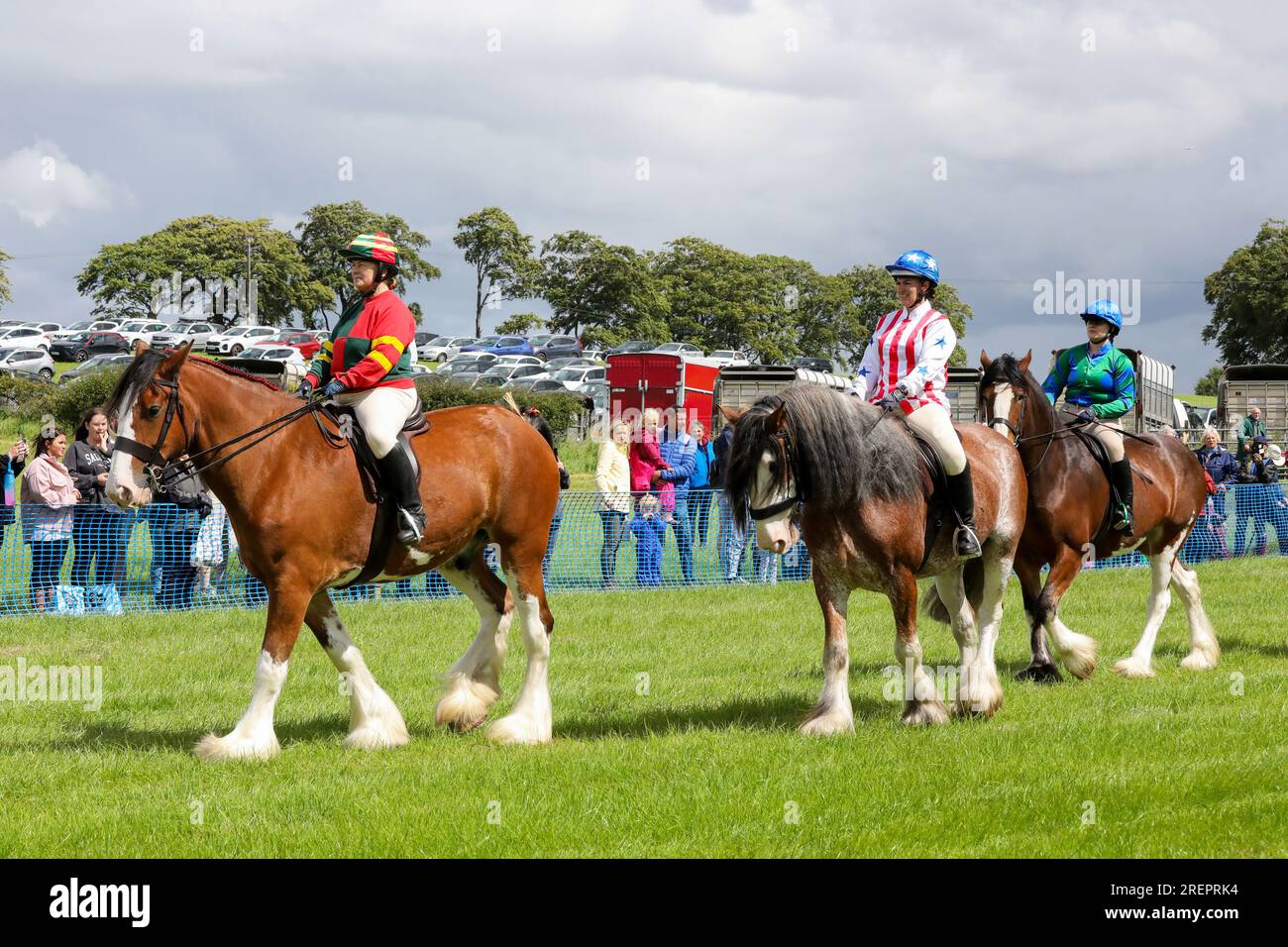 Horse displays hi-res stock photography and images - Alamy