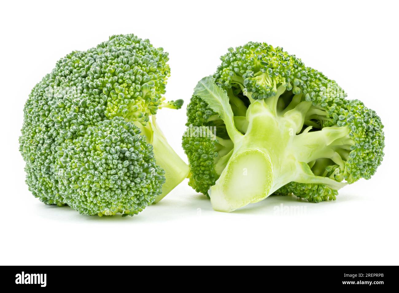Fresh broccoli on white background. Full depth of field Stock Photo - Alamy