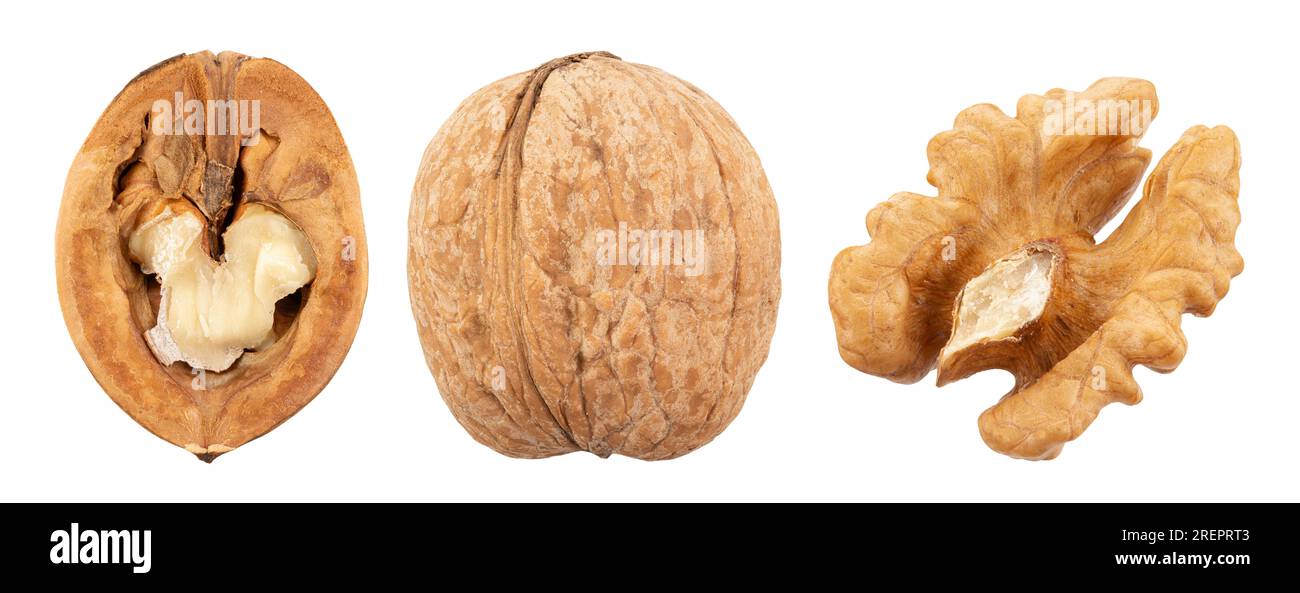 Set of three walnuts in shell and without. Isolated on white background ...