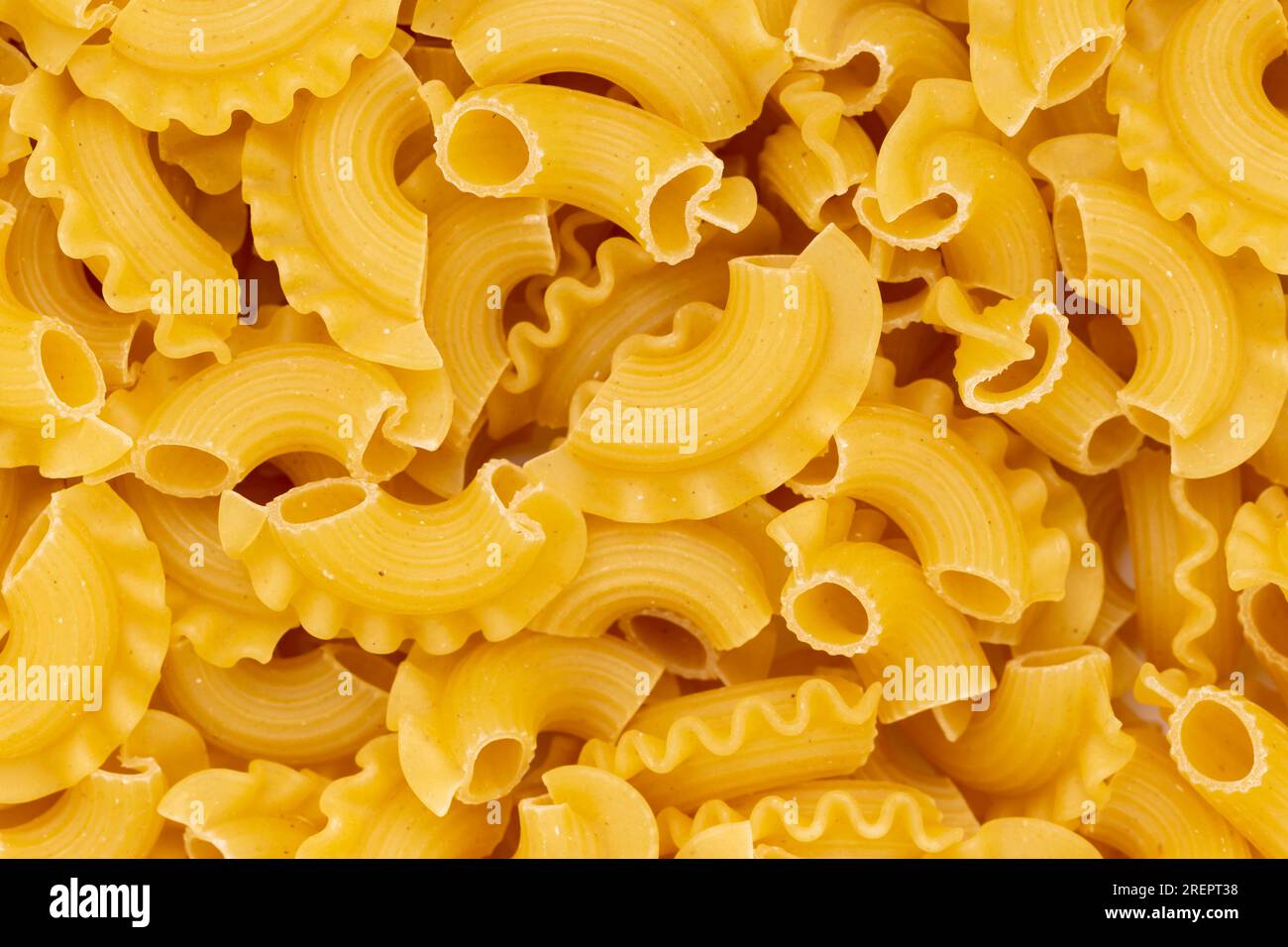 Dried macaroni cockerel scallops. Pasta vermicelli texture, noodles ...