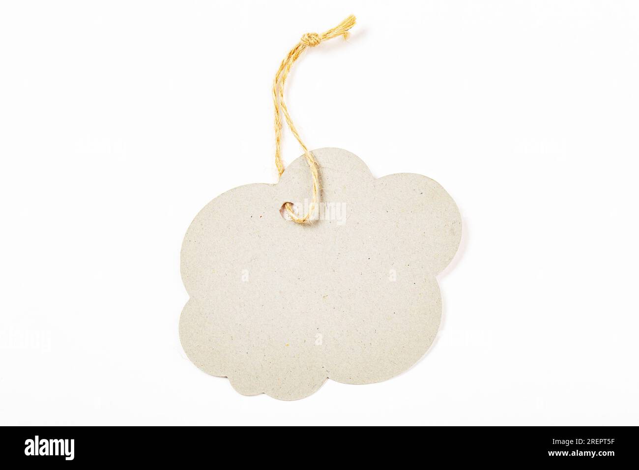 Cardboard label with slim rope on white background. Price tag or ...
