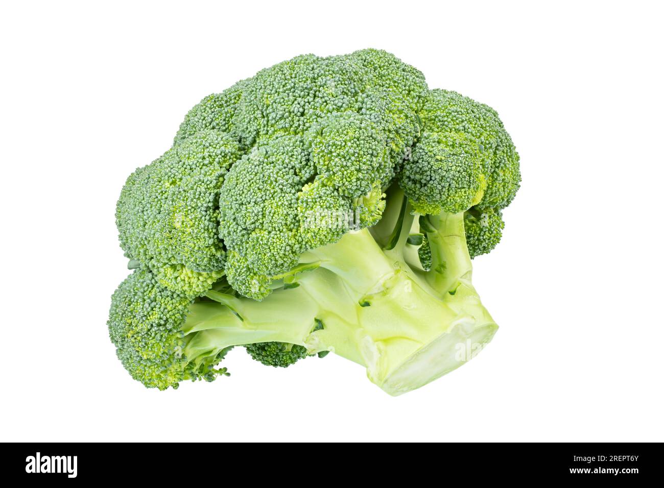 Fresh broccoli isolated on white background. File contains clipping ...