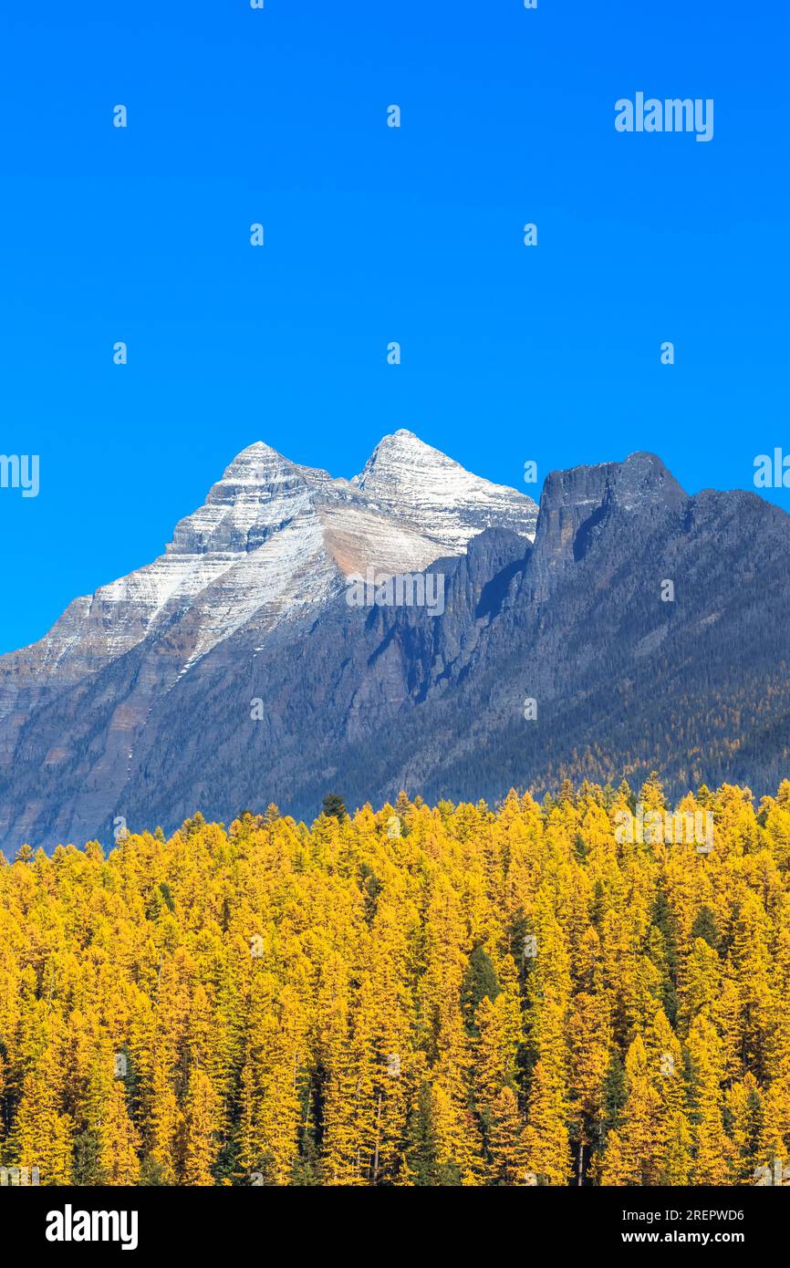 larch in fall color below mount stimson and threesuns mountain in ...
