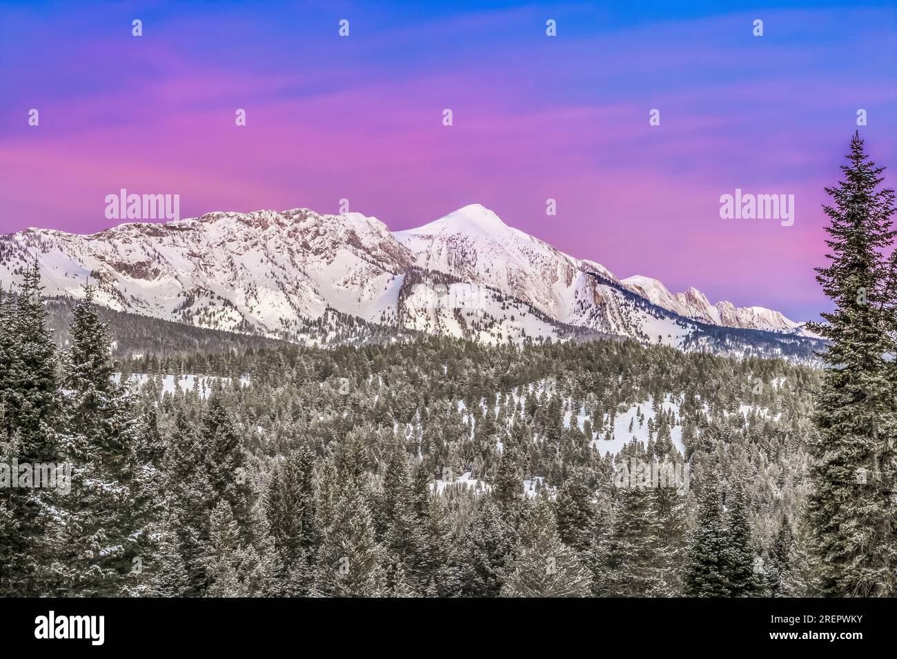 pre-dawn sky over sacagawea peak in winter in the bridger mountains ...