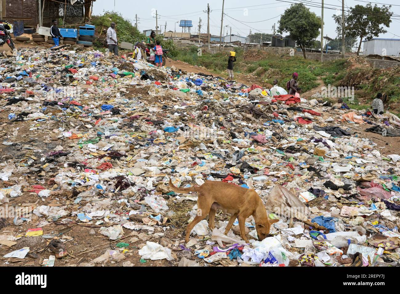 KENYA, Nairobi, Kibera slum, garbage / KENIA, Nairobi, Slum Kibera ...