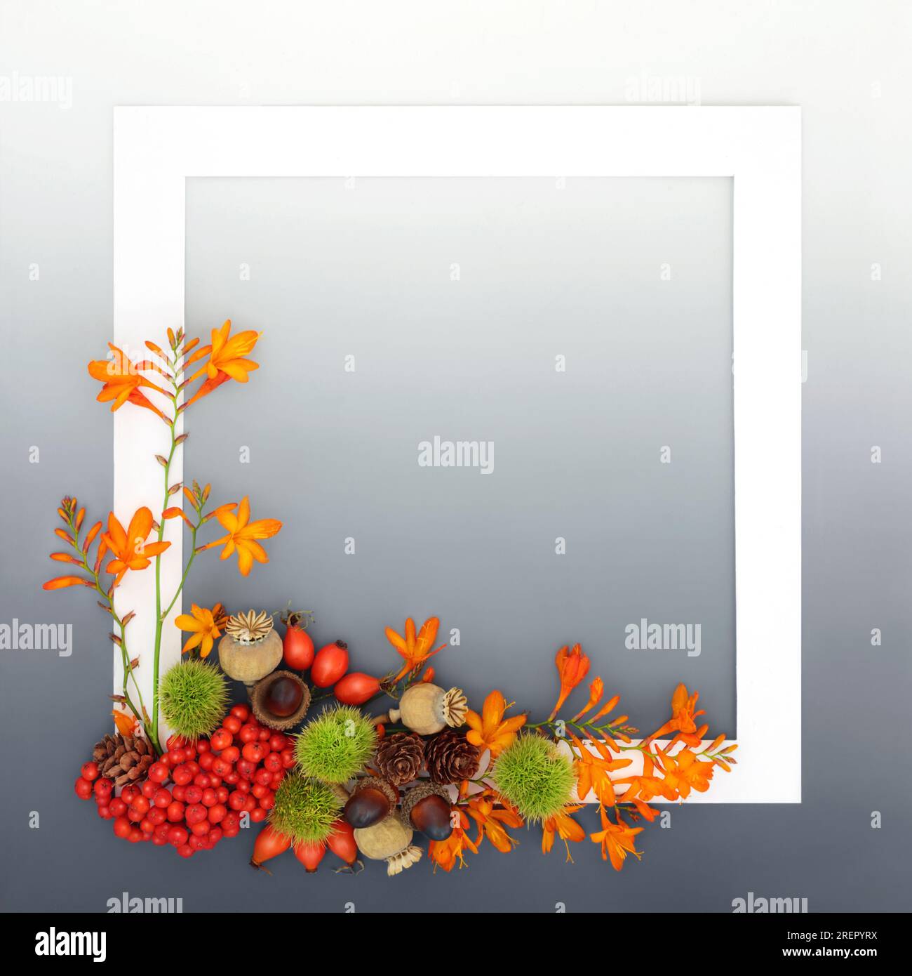 Autumn Thanksgiving Samhain nature background frame design with ...