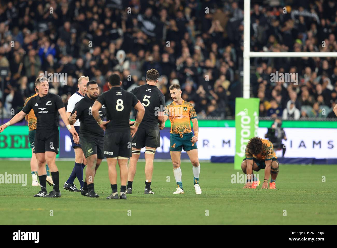 Cricket players shake hands hi-res stock photography and images - Alamy