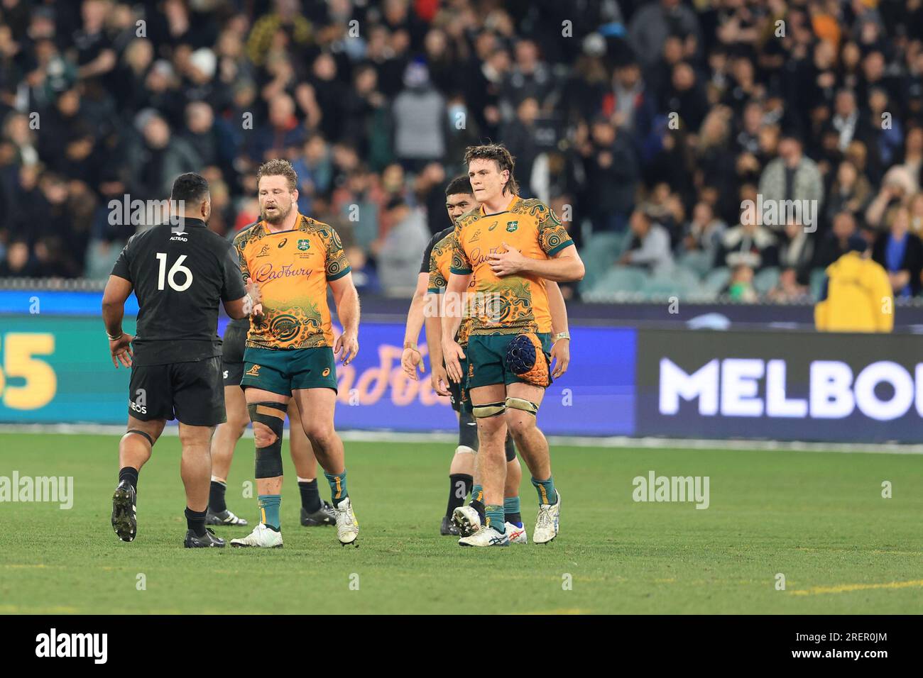 Cricket players shake hands hi-res stock photography and images - Alamy
