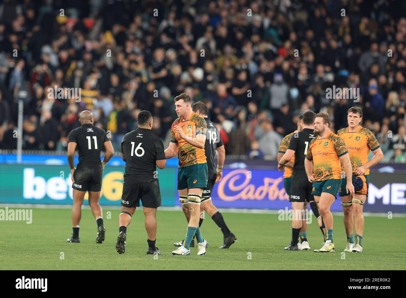 Cricket players shake hands hi-res stock photography and images - Alamy