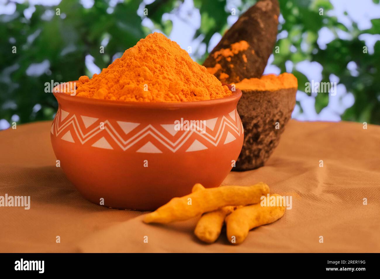 Dry turmeric powder (curcuma longa linn) stone mortar, traditional ...