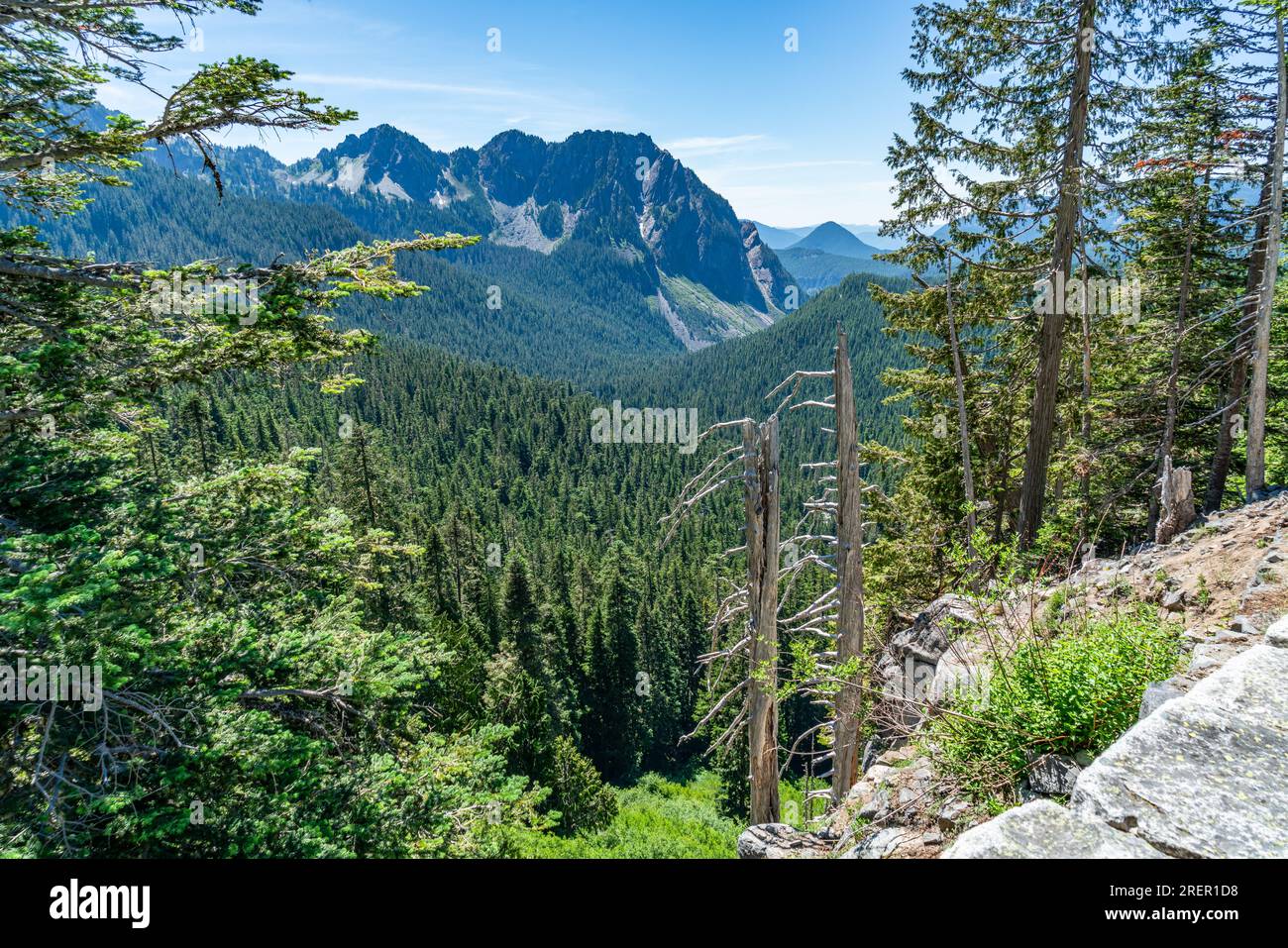 A vuew of hills and evergreen trees near Mount Rainier in Washington ...