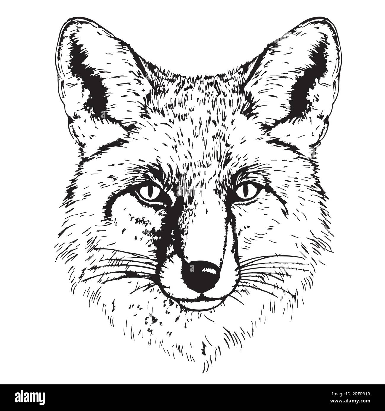 Beautiful face engraving hi-res stock photography and images - Alamy