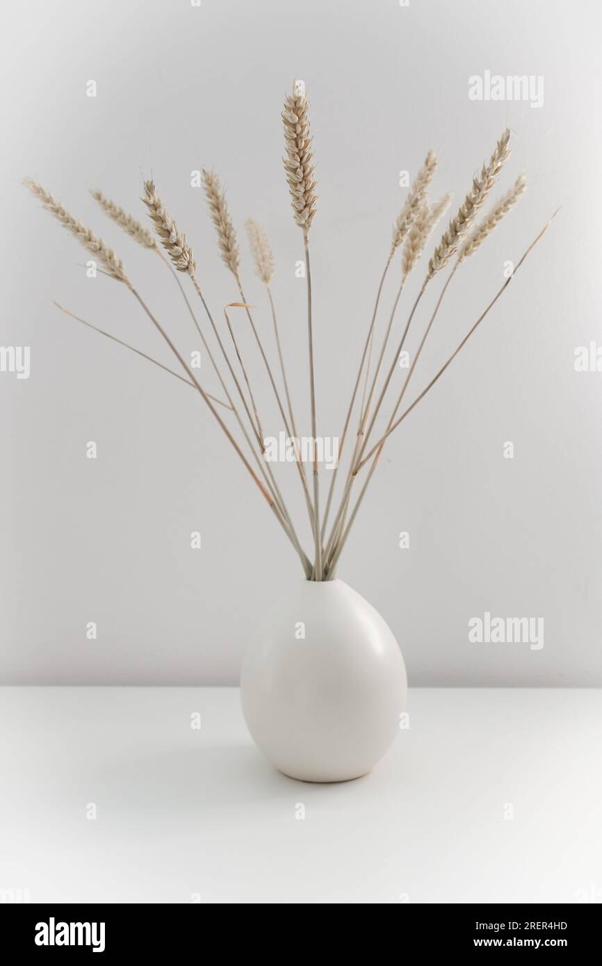 dry wheat, arranged as a minimalistic bouquet Stock Photo - Alamy