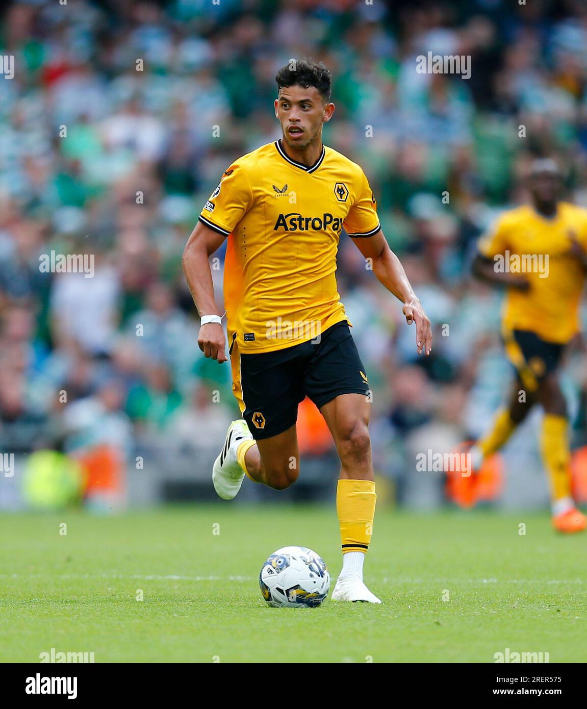 Nunes wolves hi-res stock photography and images - Alamy