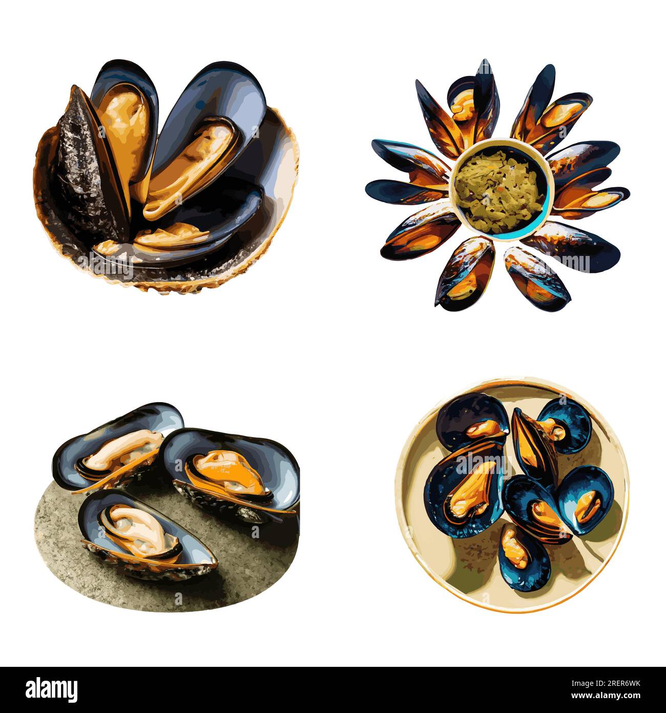 Underwater shells Cut Out Stock Images & Pictures - Alamy