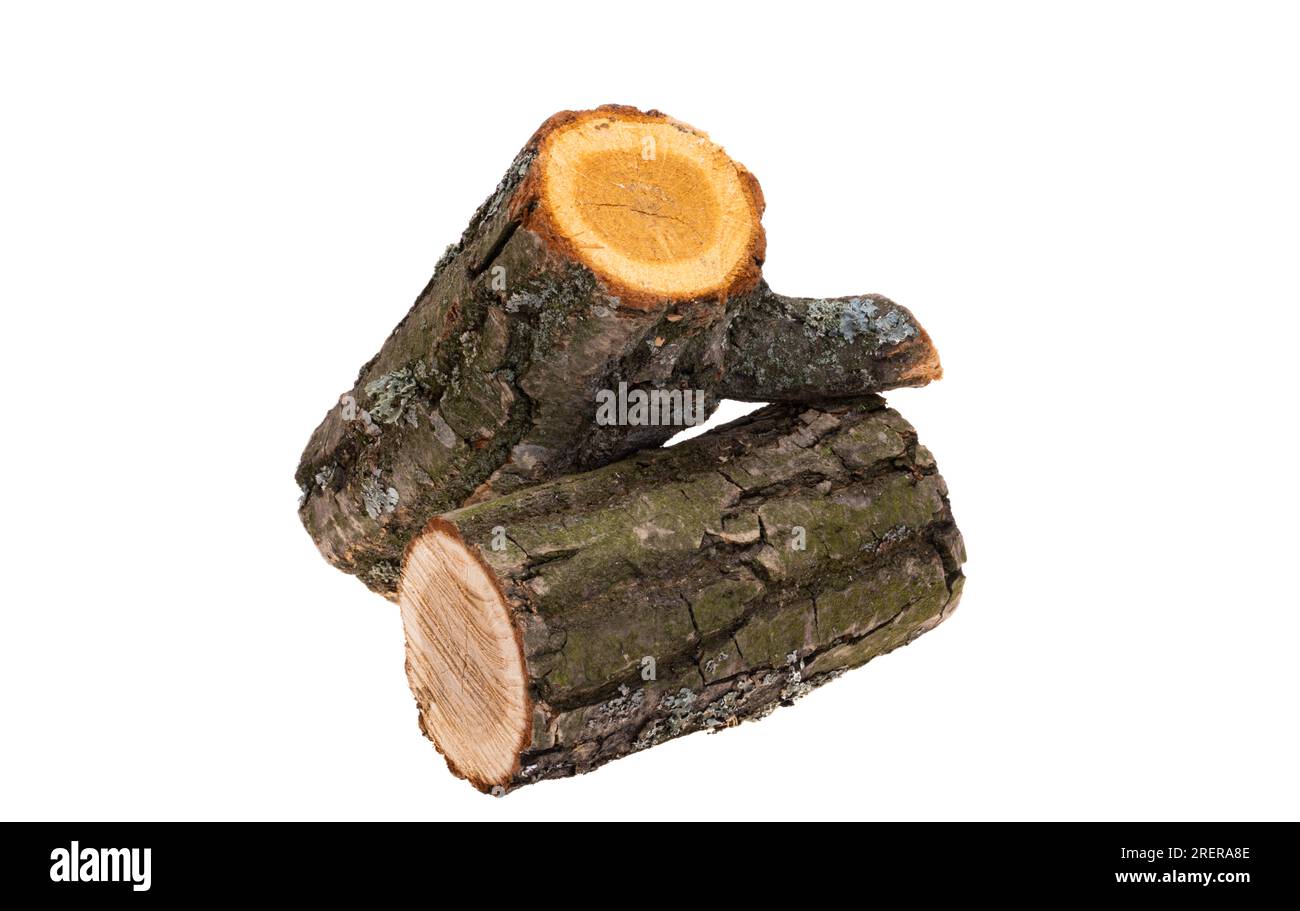 Oak firewood isolated on white background Stock Photo - Alamy