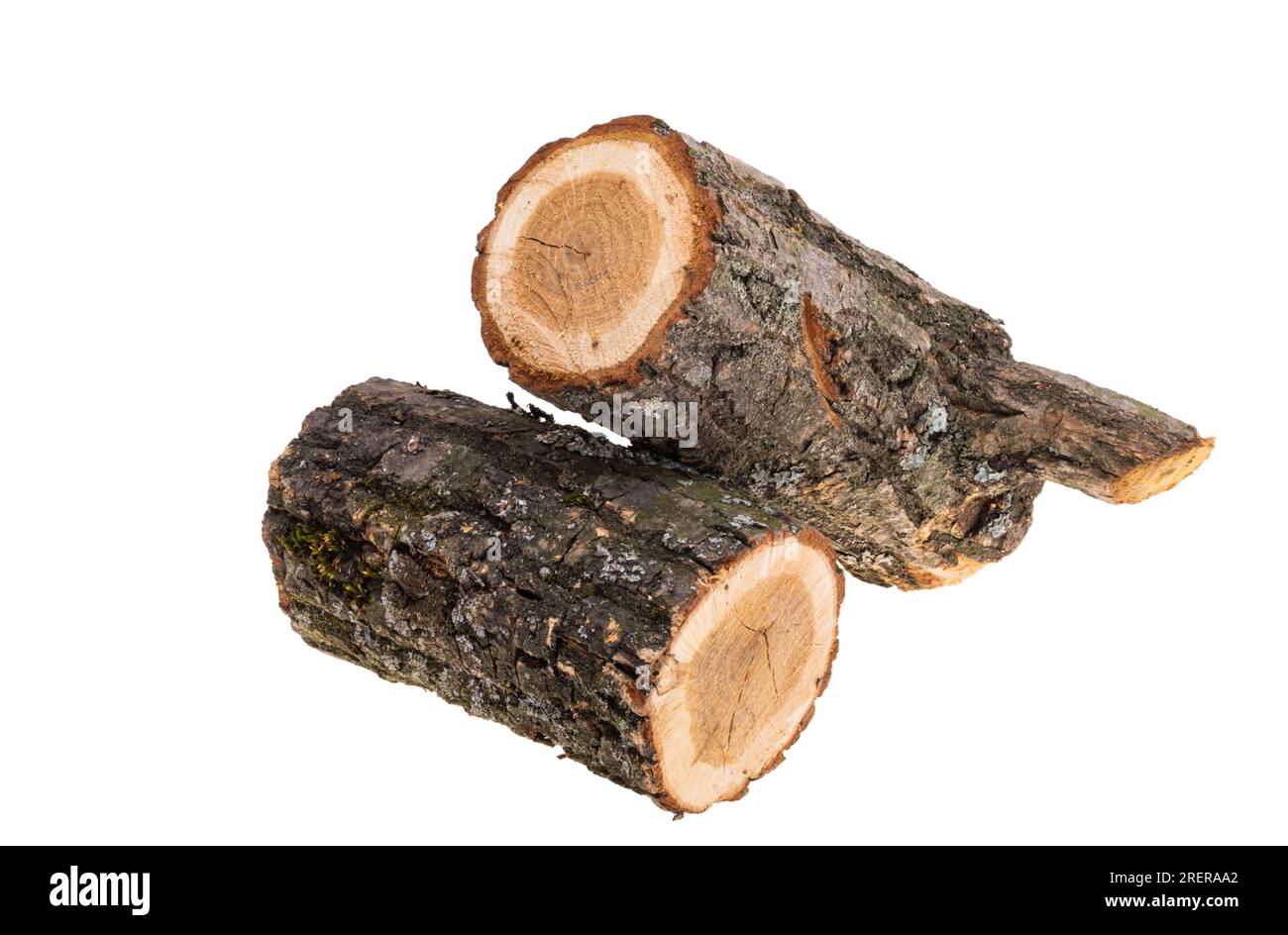 Oak firewood isolated on white background Stock Photo - Alamy