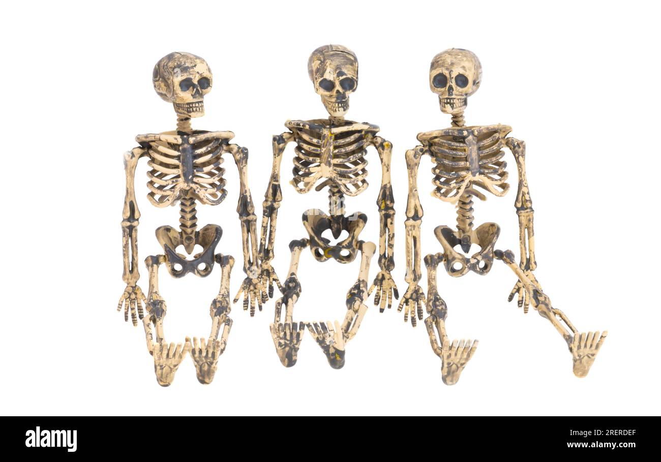 Skeleton isolated on white background Stock Photo - Alamy