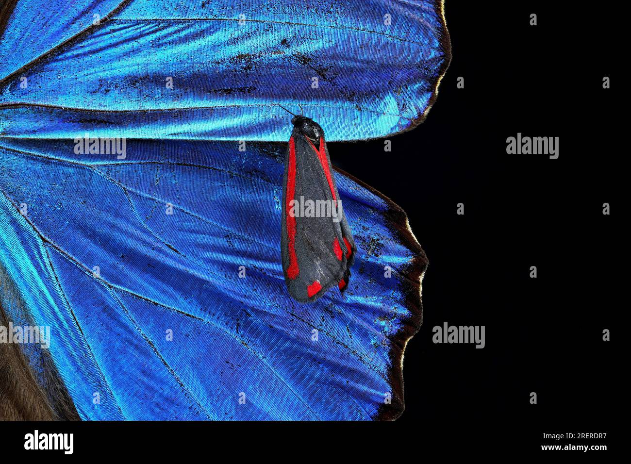 A 7k hi-res stock photography and images - Alamy